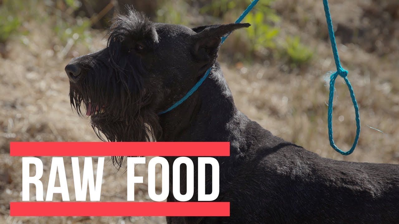 Raw food insight w/ Sylvia Hammarstrom