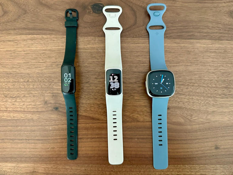 The best Fitbits of 2026