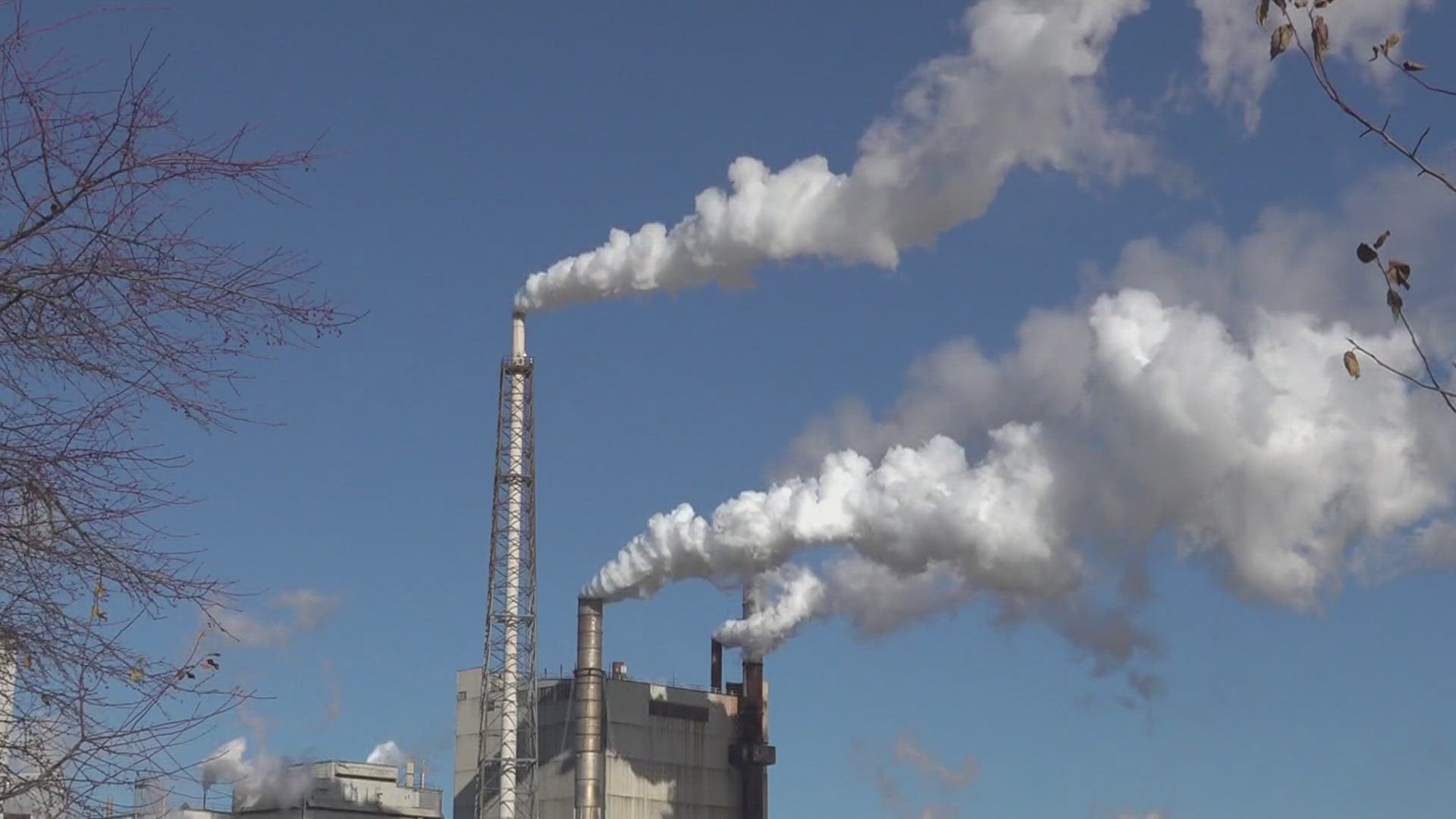 Temporary closure of Woodland Pulp mill impacting hundreds in ...