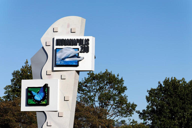 Chimp escapes Indianapolis Zoo enclosure, prompts lockdown that traps ...