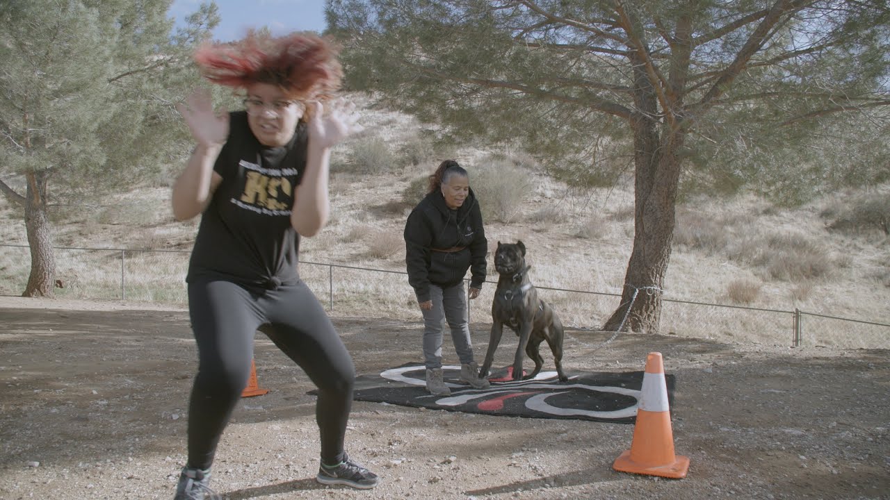 Women handling powerful dogs: Cane Corso