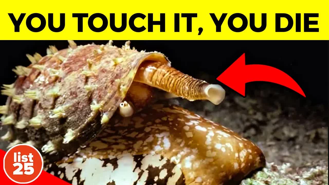 25 Most Toxic Things on Earth