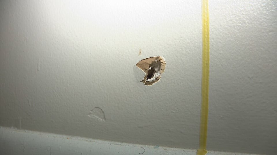 Bullet from DeKalb PD officer’s gun accidentally goes off, pierces wall ...