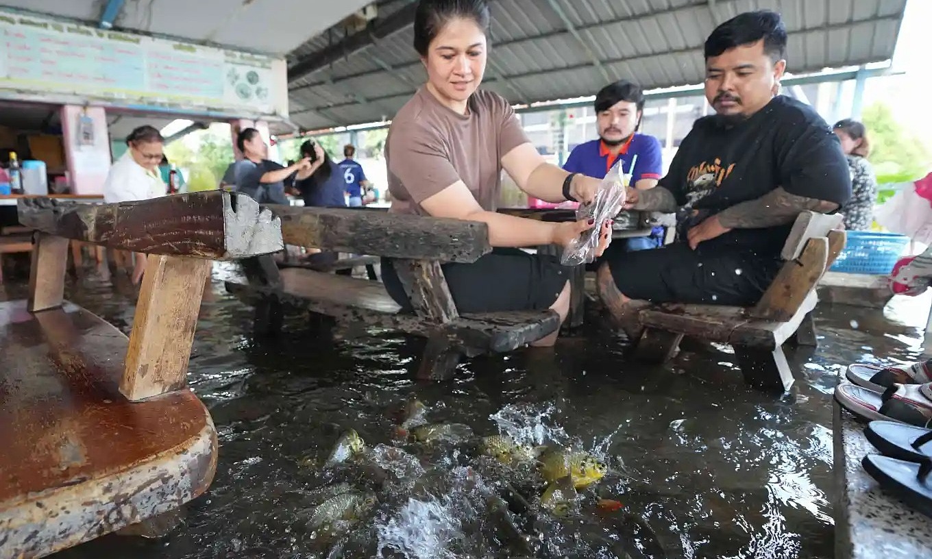 Flooded restaurant in Thailand brings delight with swimming fish among ...