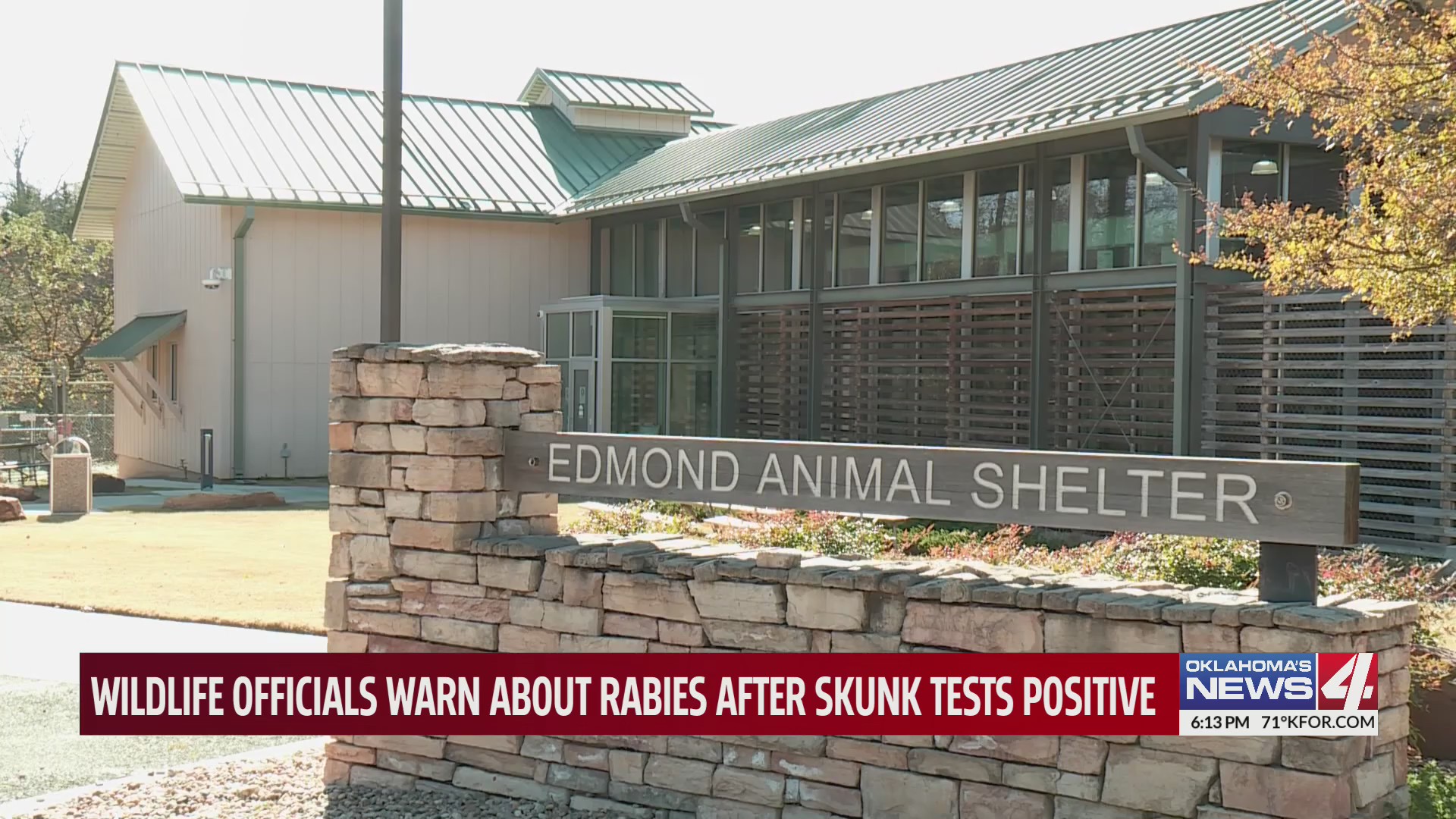 Wildlife officials warn about rabies after skunk tests positive