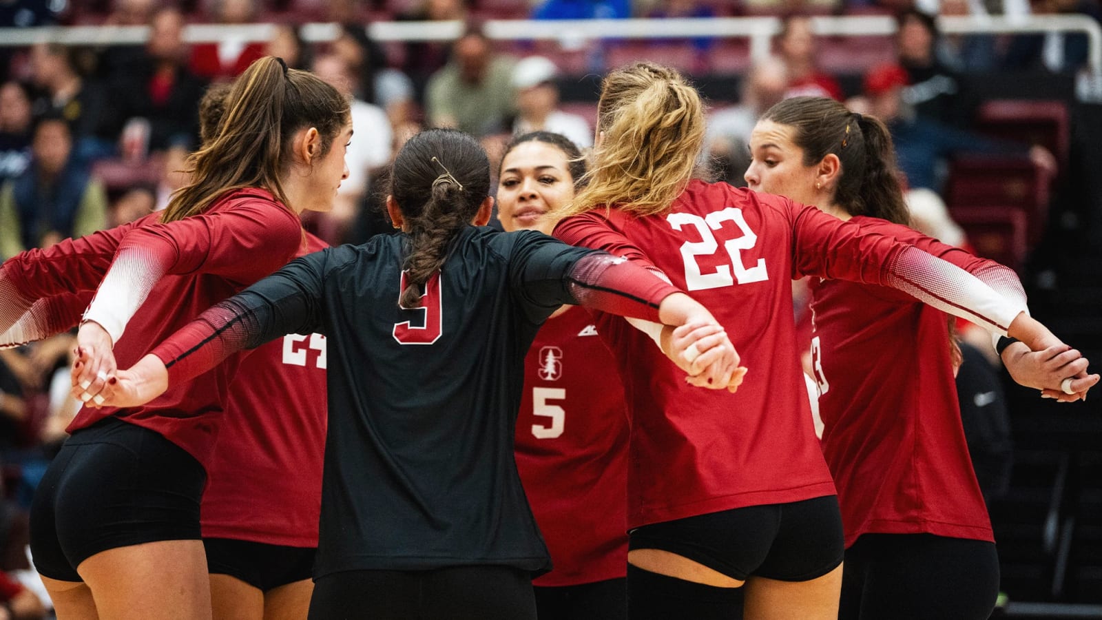 Preview: No. 5 Stanford Women’s Volleyball welcomes No. 3 Pitt to Maples
