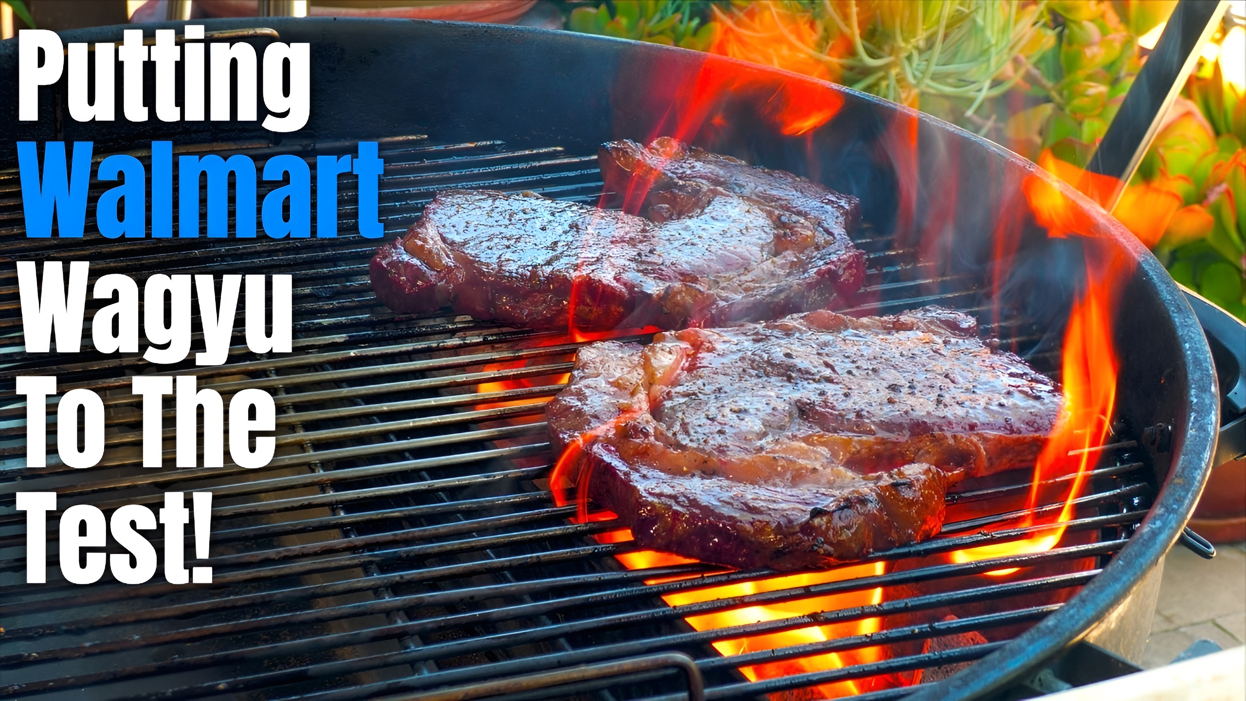 Walmart Wagyu Steaks For $20? | What You Need To Know Before You Buy!