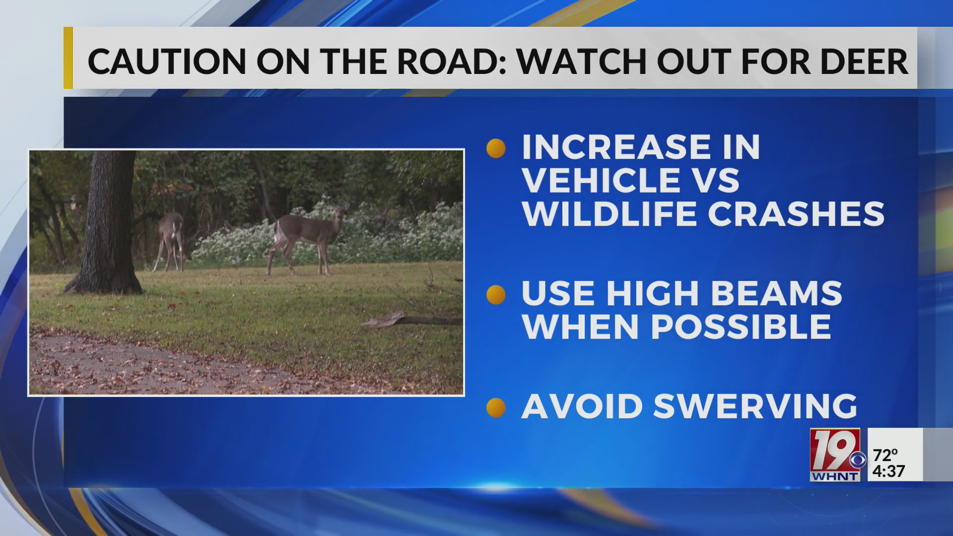 Caution on the Road: Watch Out for Deer | Nov. 14, 2025 | News 19 at 4: ...