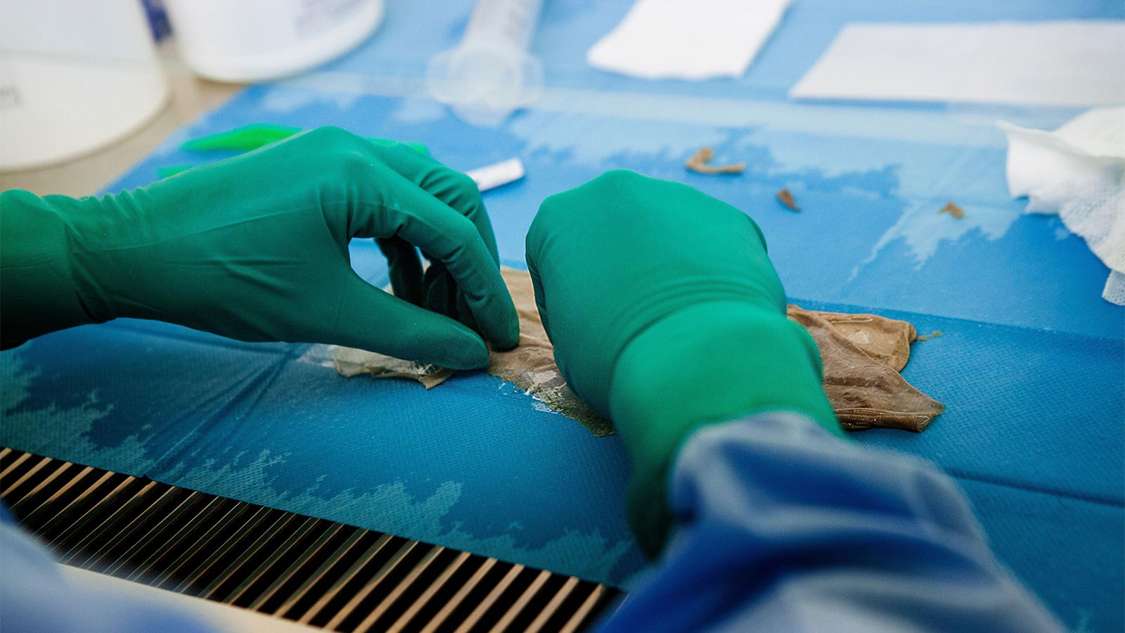 Stakeholders Clash Over Skin Substitute Payment Changes in Medicare