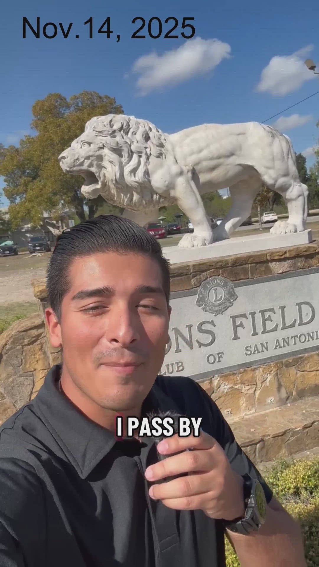 Behind the lion at Lions Field. Did you know this history?
