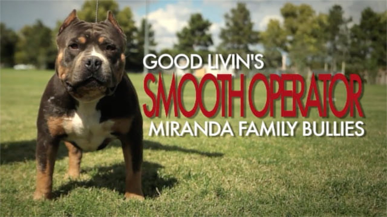 WHERE DID THE TRI COLOR COME FROM? - SMOOTH OPERATOR - RE UP