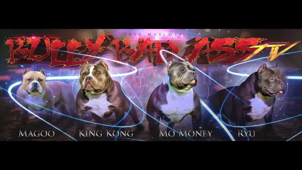 Exotic bully battle - French Montana vs. Hitman