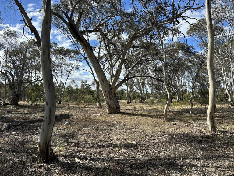 Residents in sleepy regional town alarmed after disturbing plant ...