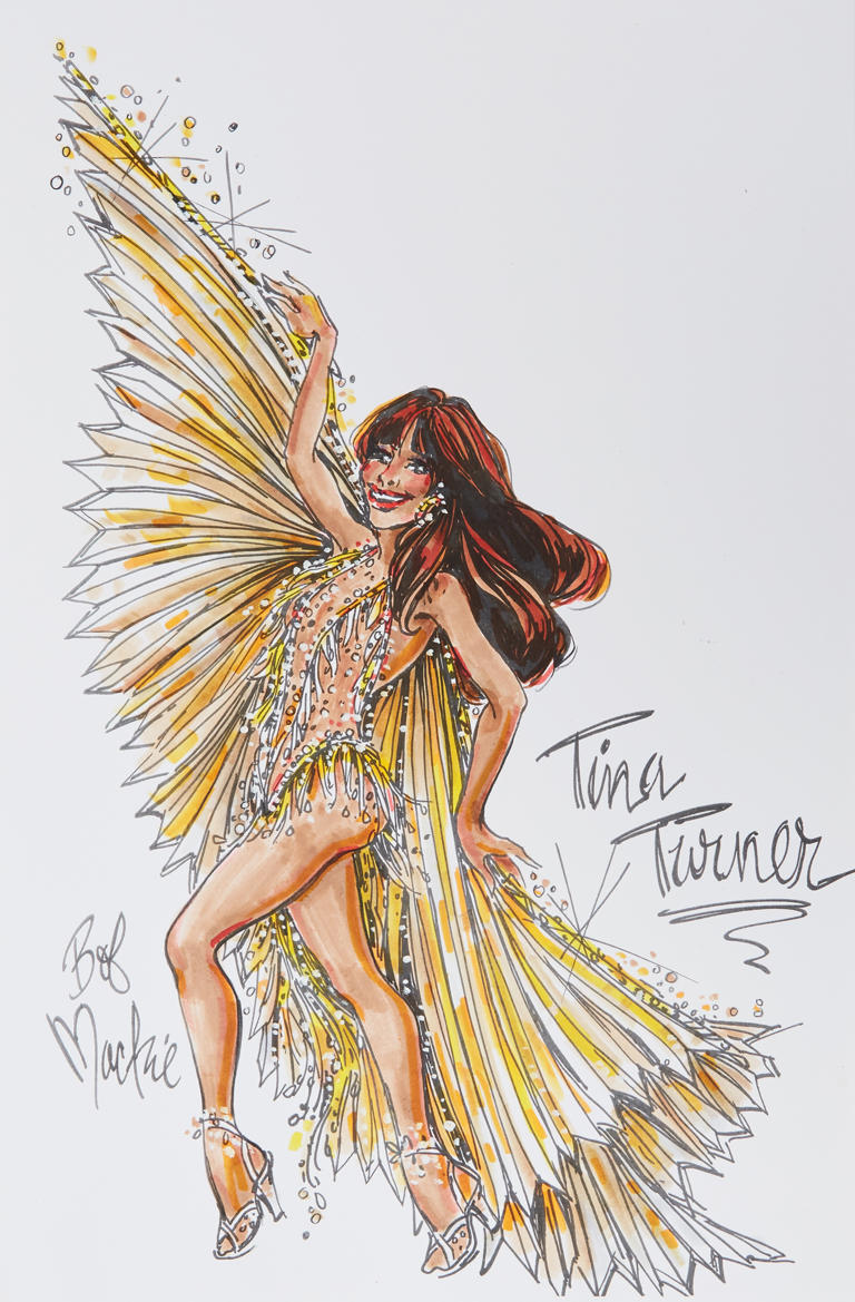 Bob Mackie Puts Cher and Tina Turner Designs Up for Auction-We Take a ...