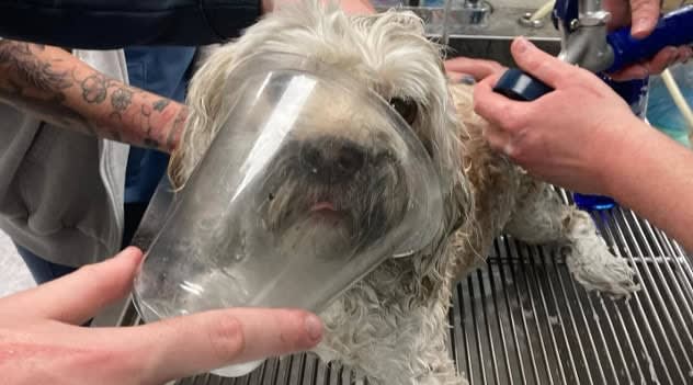 Holiday Decorating Leads To Clearwater Kitchen Fire, Firefighters ...