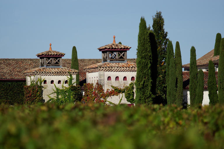 Au château Smith Haut Lafitte, des vins blancs «identifiables ...