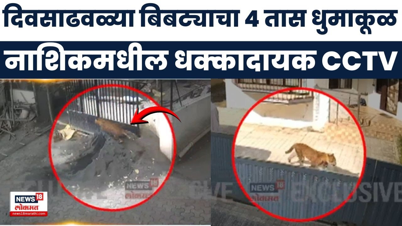 Nashik Bibtya CCTV | भरदिवसा नाशिकमध्ये धुमाकूळ, बिबट्याचा थरारक ...