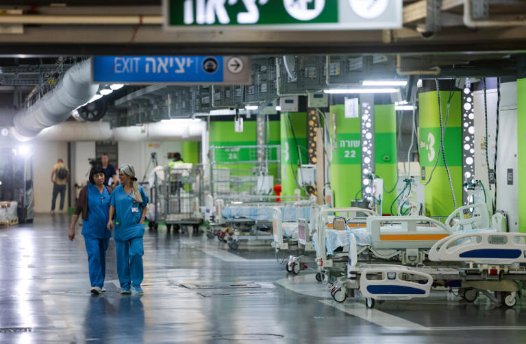 Is emigration harming Israel's medical services?
