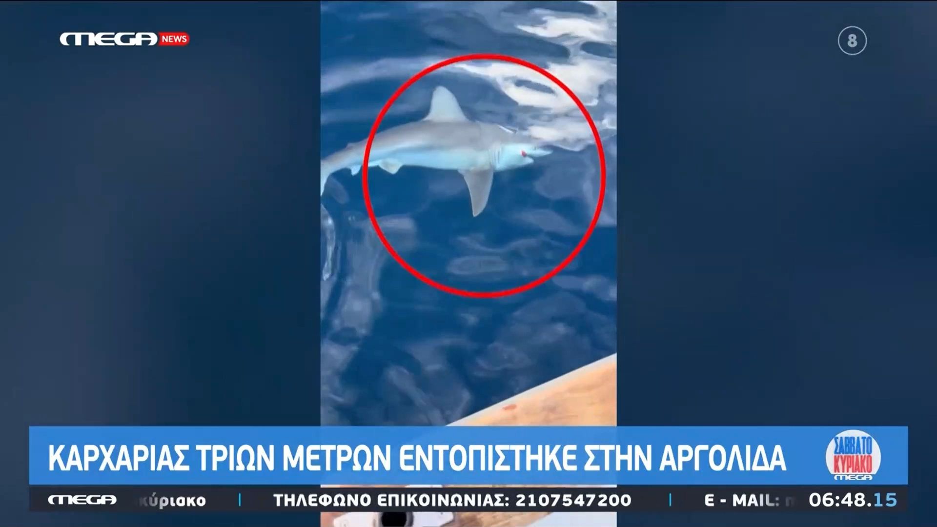 Καρχαρίας τριών μέτρων εντοπίστηκε στην Αργολίδα!