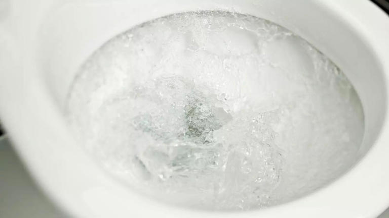 Why does your toilet flush have two buttons? You’ll be surprised