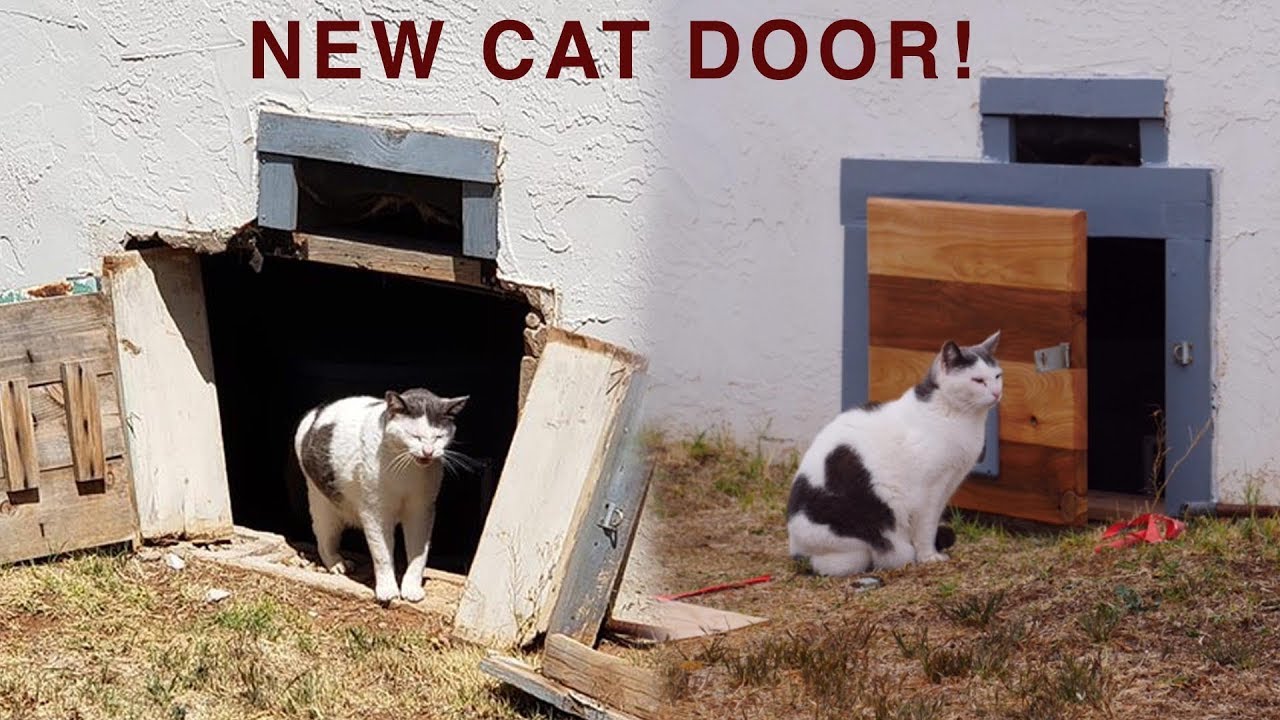 Built My Cat A New Door!