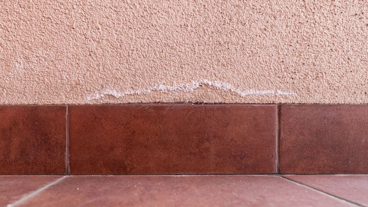 This common damp problem isn’t mould — but it can ruin your walls