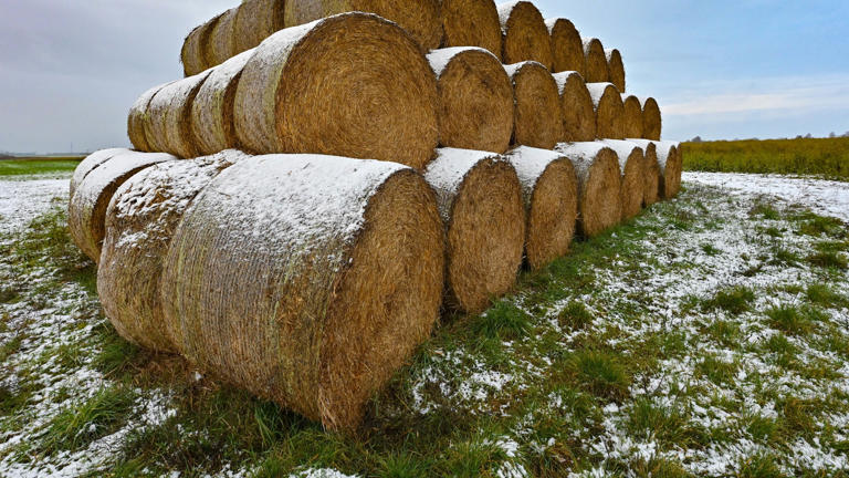 Schneeregen, Graupel und Gewitter im Anmarsch: Der Winter kommt nach ...