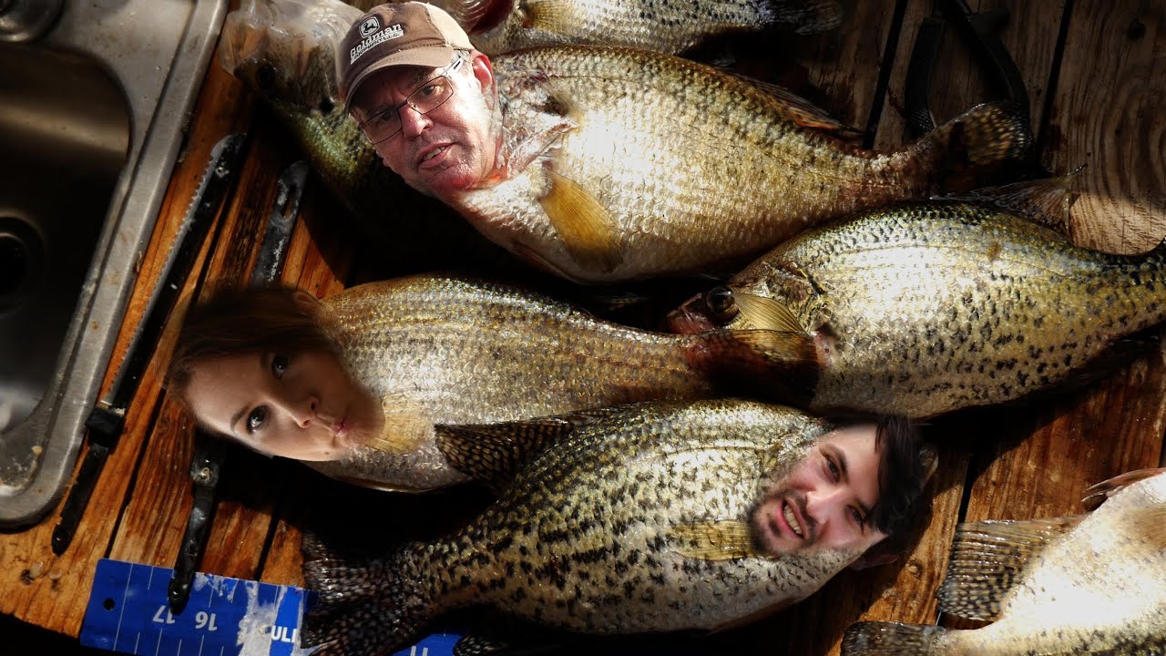 How to fillet fish (freshwater) - Passing the knowledge