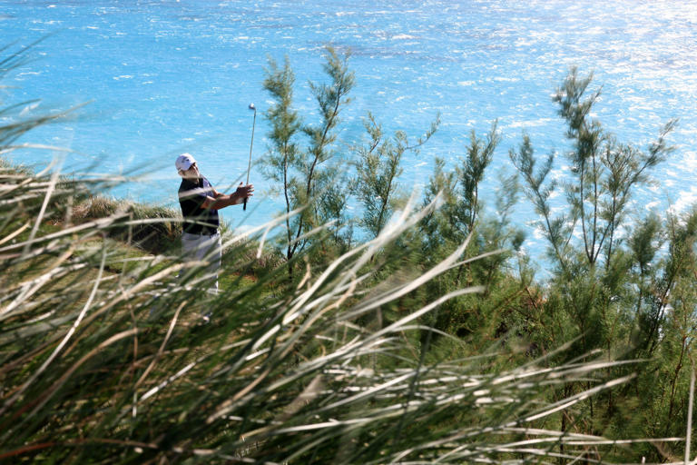 Butterfield Bermuda Championship live leaderboard updates, scores for ...