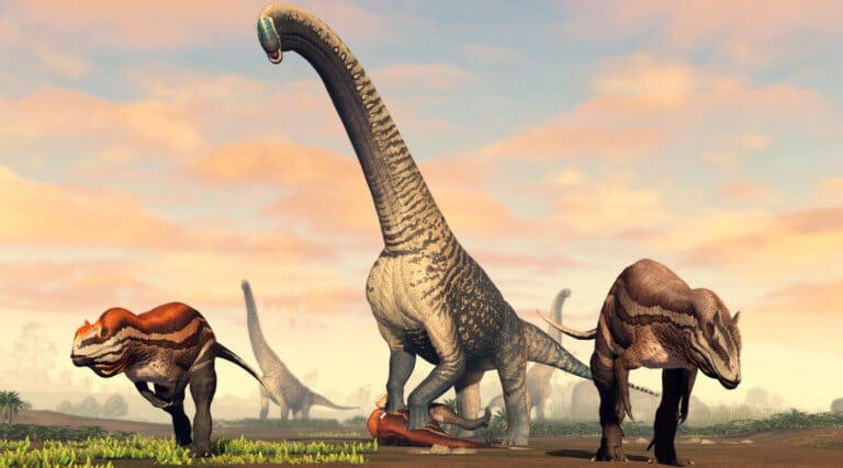 Hunty Zombie codes – December 2025