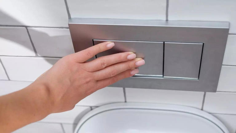 Why does your toilet flush have two buttons? You’ll be surprised