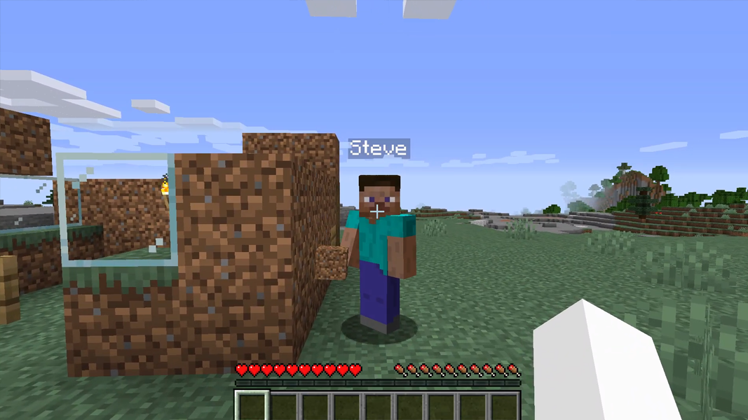 Naming Every Minecraft Entity