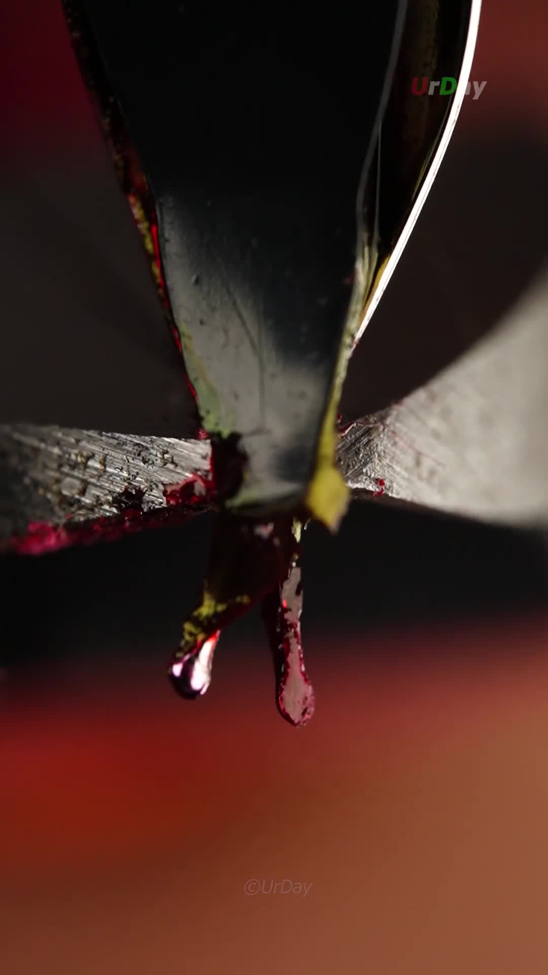 Biting off a fountain pen in macro #urday #satisfy