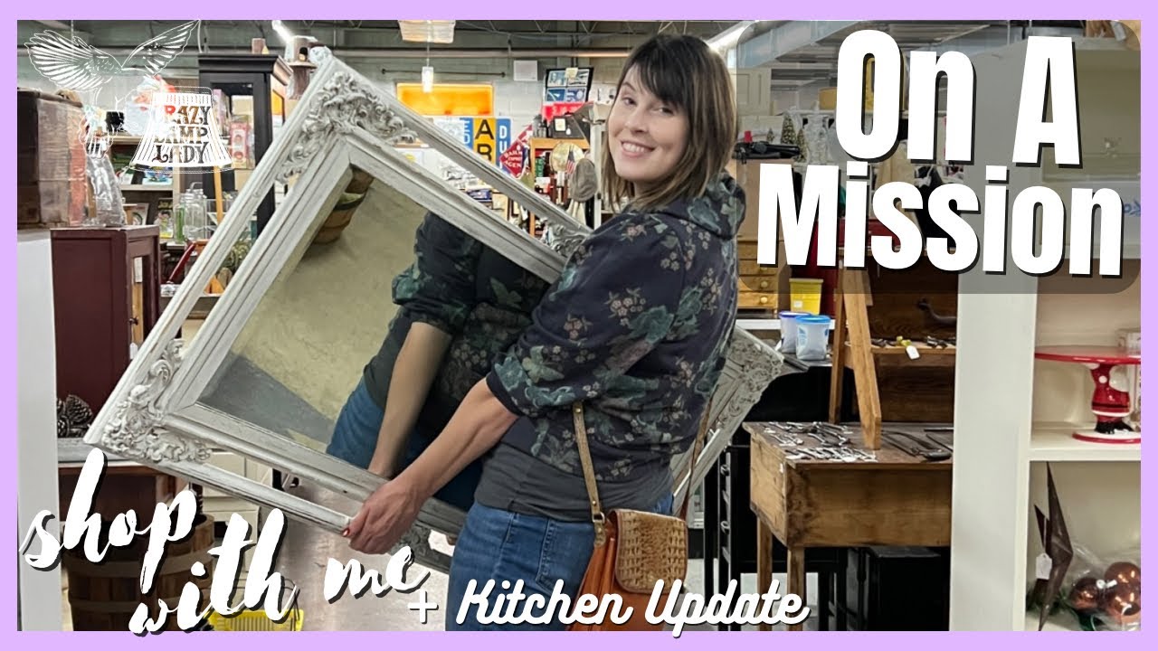 I'm On A MISSION | Shop With Me + Kitchen Update | Crazy Lamp Lady