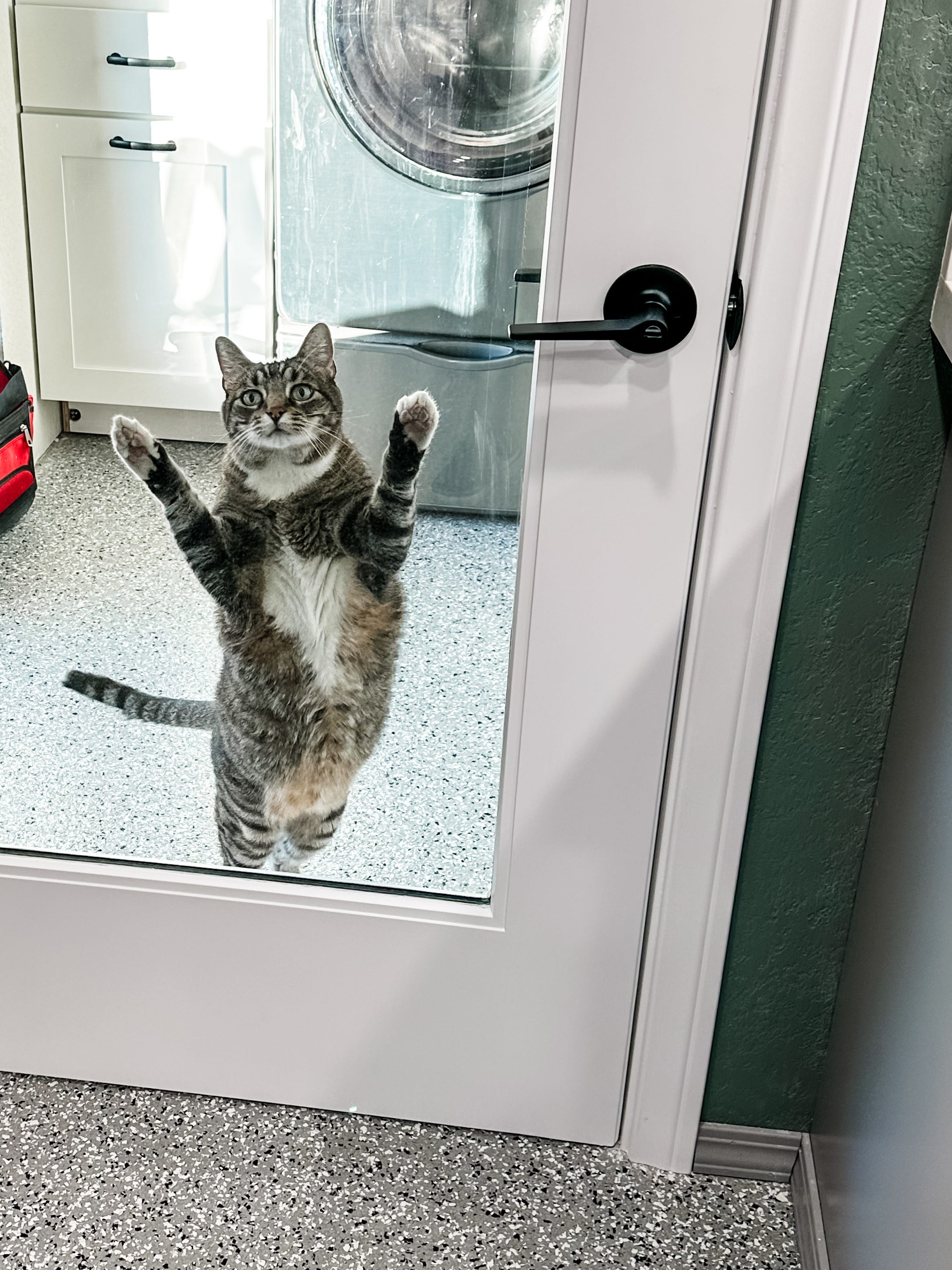 A couple spent $26,000 turning their garage into a kitchen. The space ...