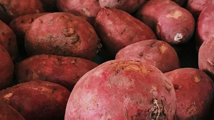 10 Everyday Foods That Surprisingly Contain Key Micronutrients