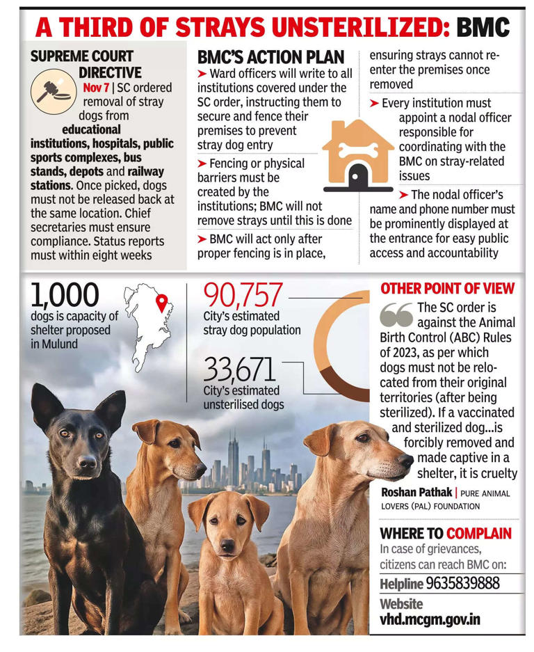 Mumbai: 1,000-dog Mulund shelter planned to house strays