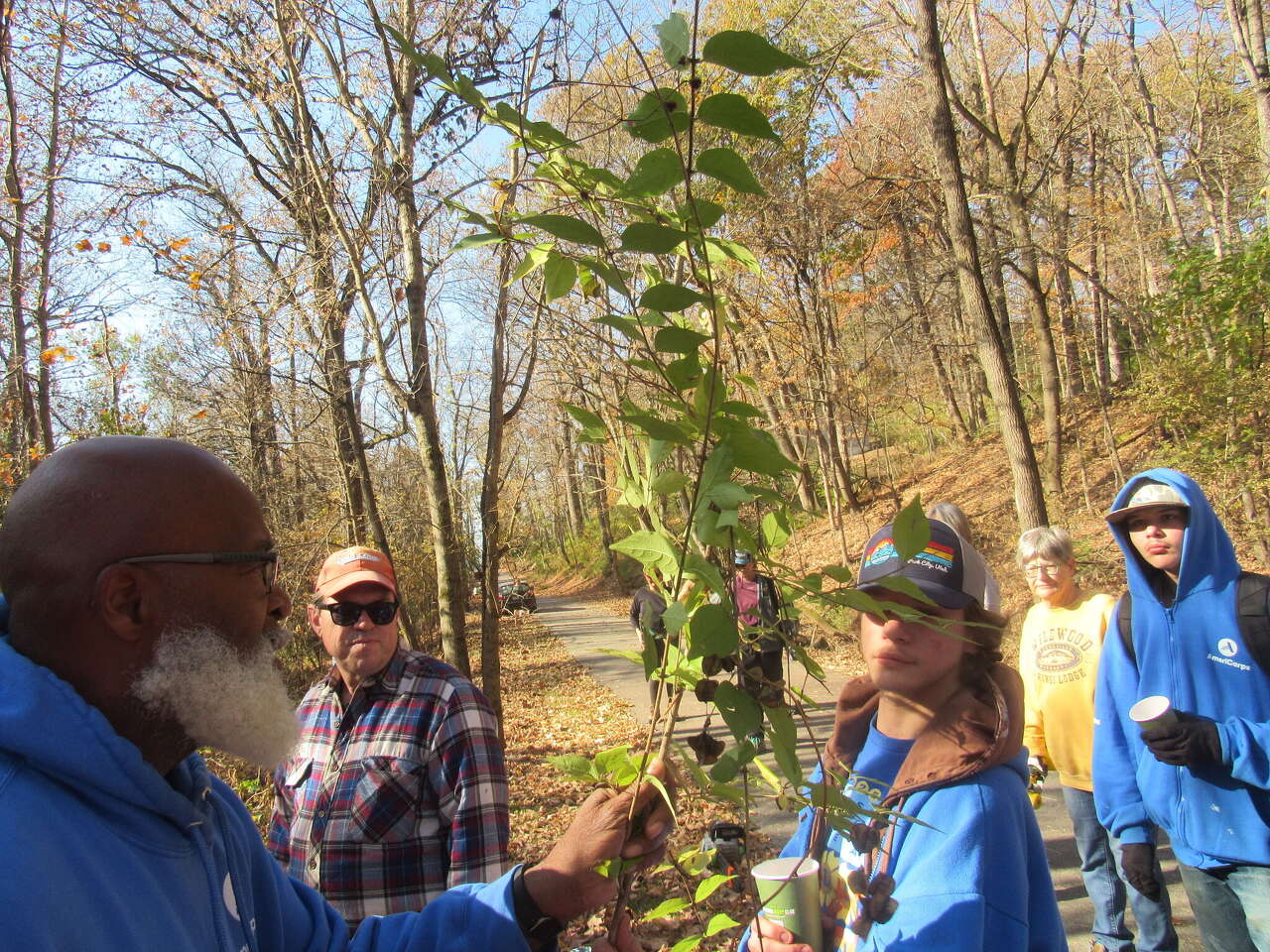 Godfrey volunteers remove invasive plants at LaVista Park Trail