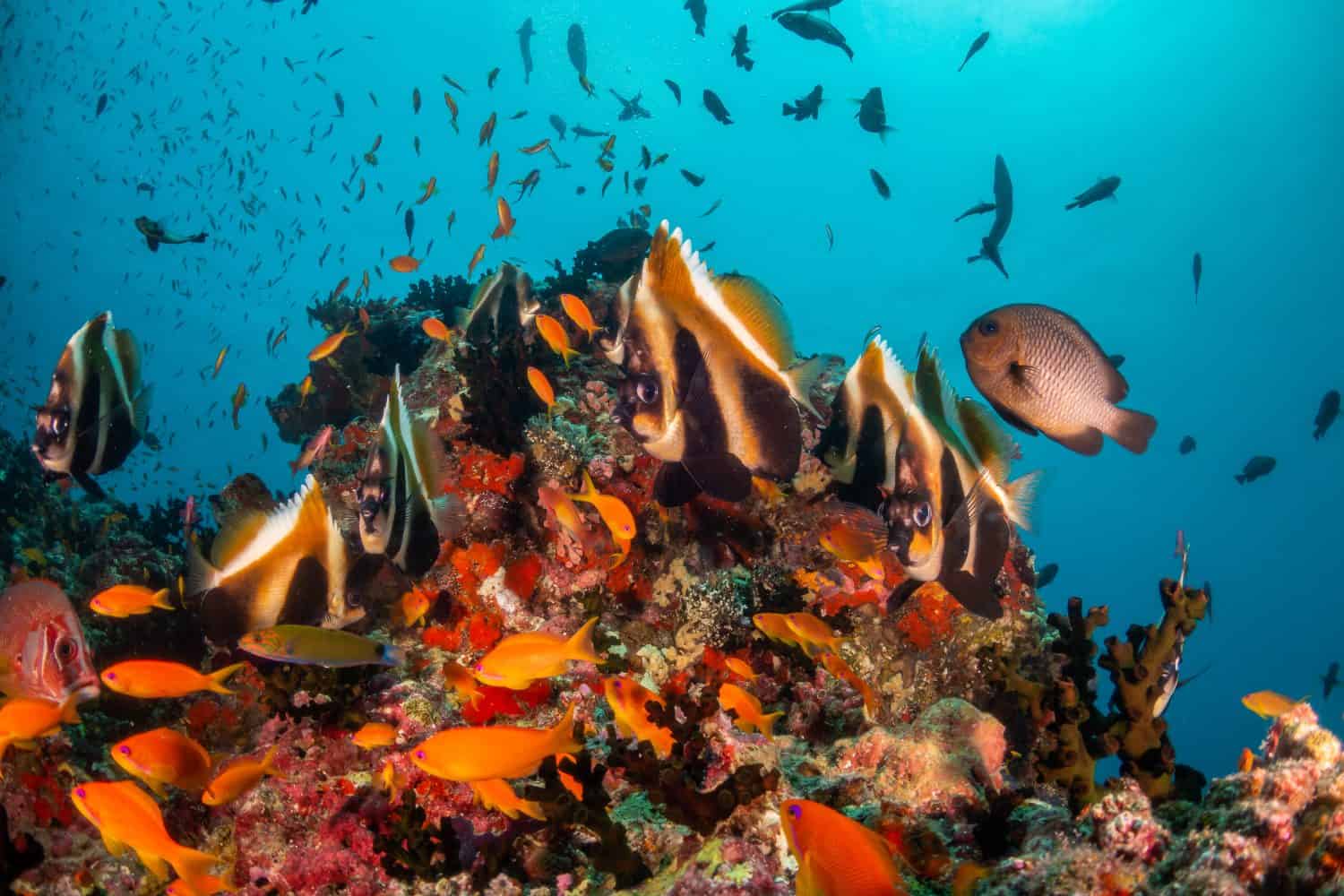 Travel Destinations That May Not Be Around in As Little as a Decade