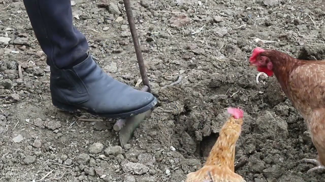 Amazing shovel! DIY garden tool