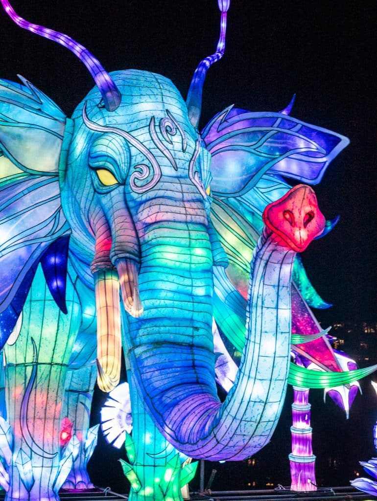 The best events in Raleigh in January 2026 (Start the year strong!)