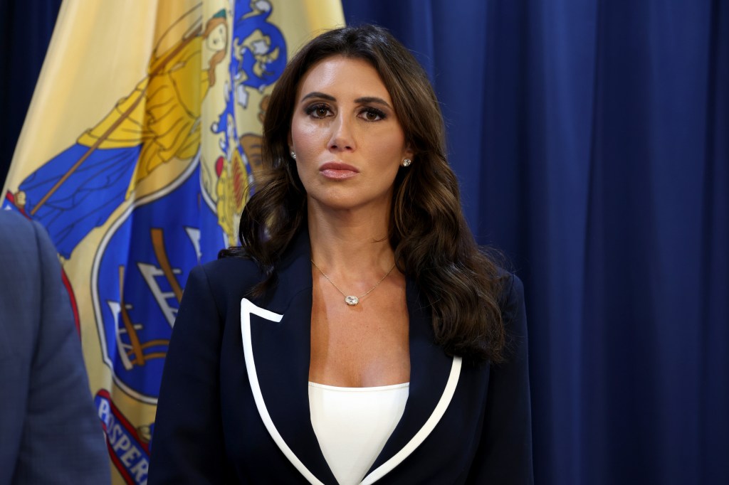 Maniac who allegedly confronted NJ acting district attorney Alina Habba ...