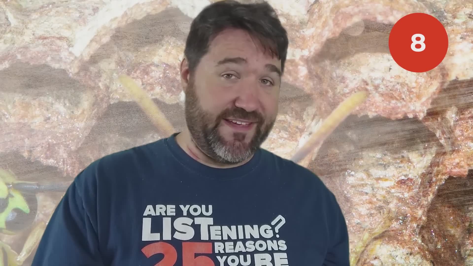 25 astonishing things you can only see under a microscope