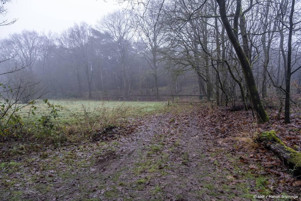 Einde van recordlange periode met milde dagen in De Bilt