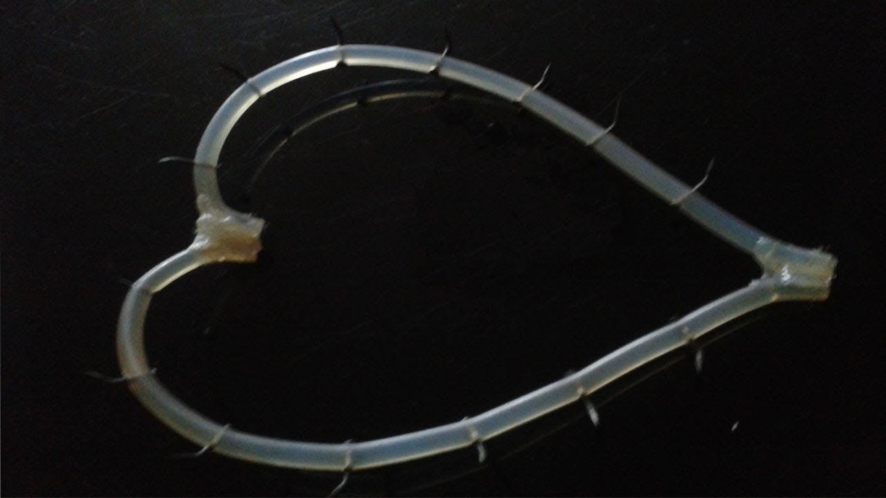 4 Nail Life Hacks Amazing DIY