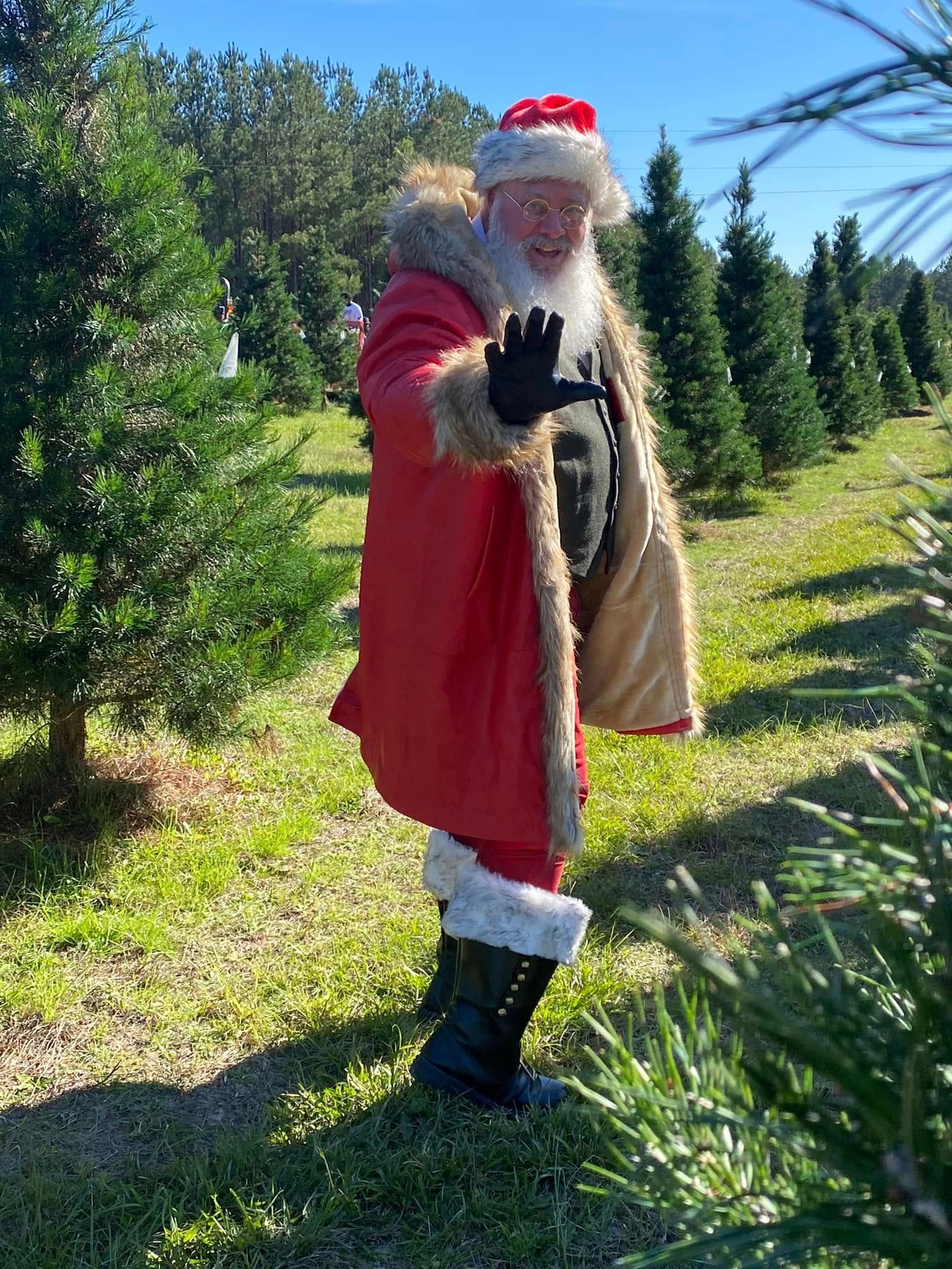 Want to cut down your own Christmas tree? These 4 Augusta-area farms ...