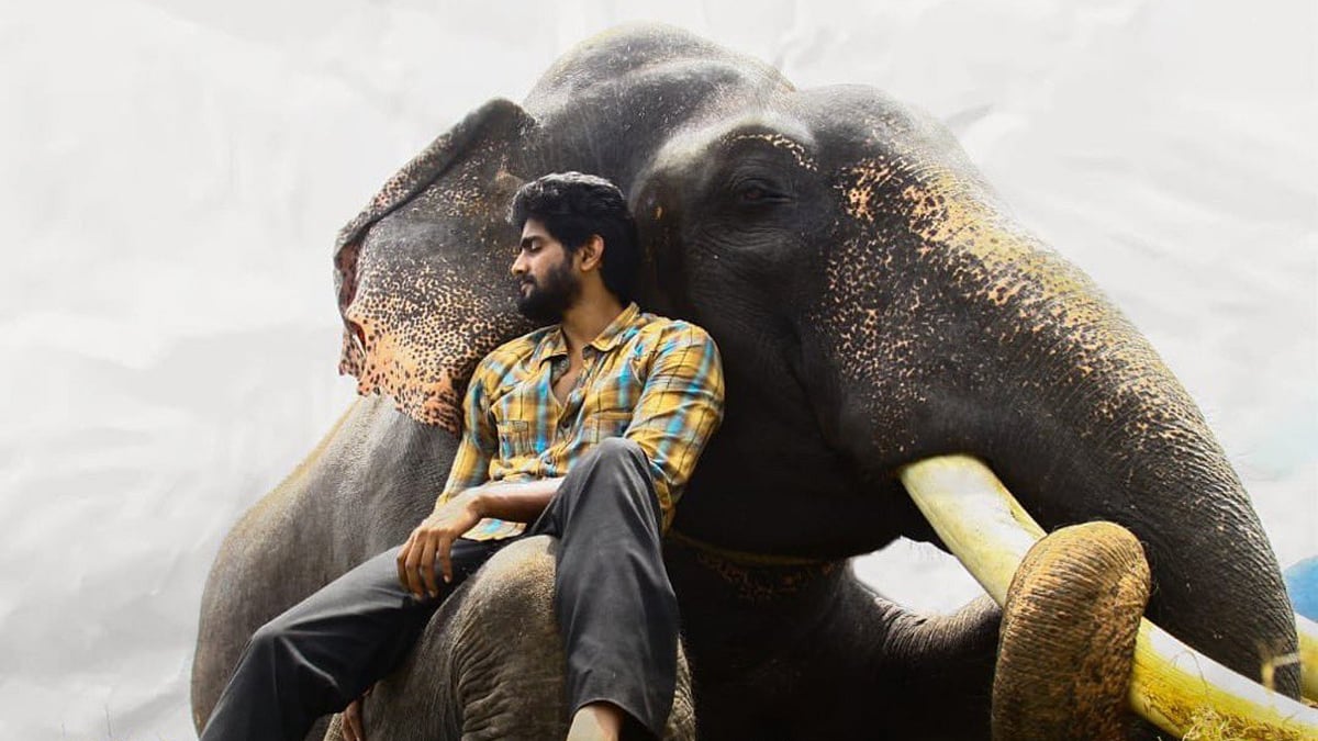 Kumki 2 Box Office: Collections rise steadily amongst a crowded box ...