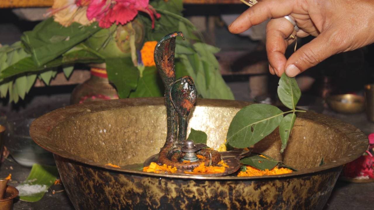 Som Pradosh Vrat 2025: नवंबर में कब करें सोम प्रदोष व्रत? जानें डेट ...