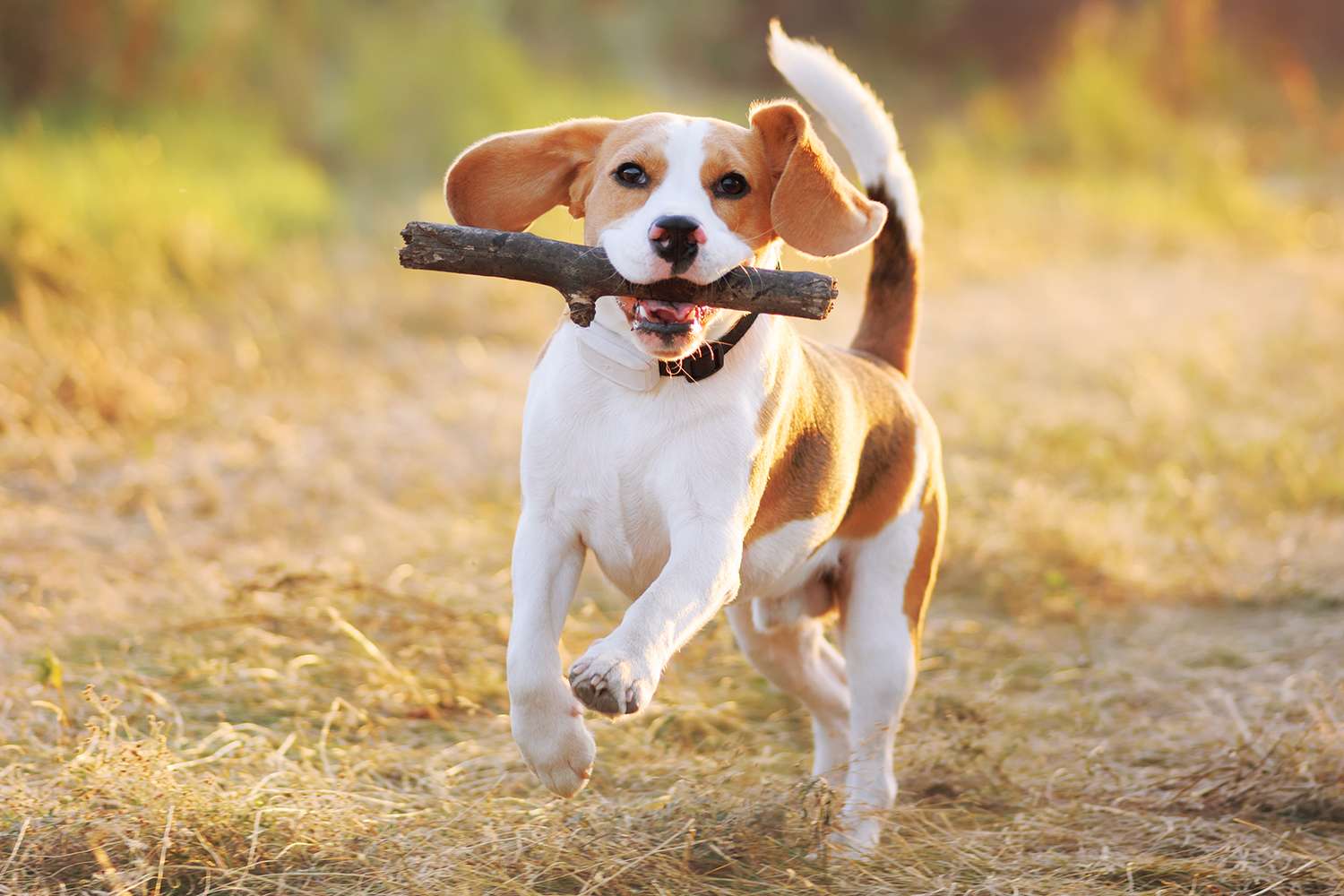 Woman Says Her Brother Called Her the ‘Fun Police’ After She Asked Him ...