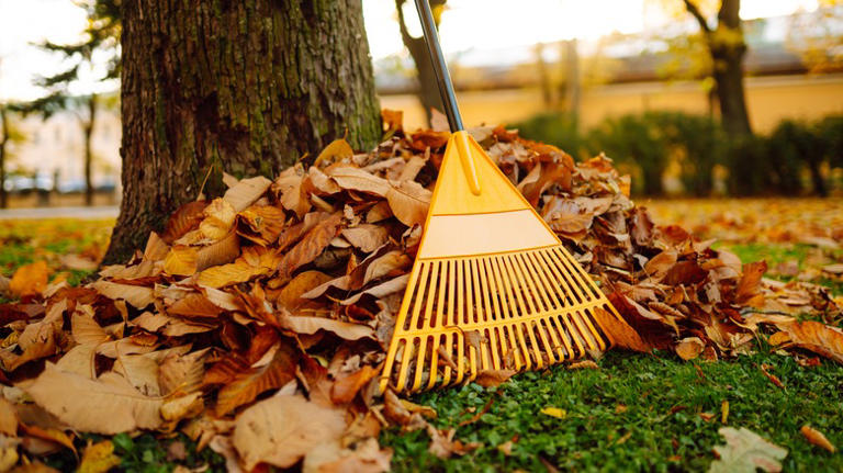 Here's What You Should Consider Before Buying A Lawn Sweeper
